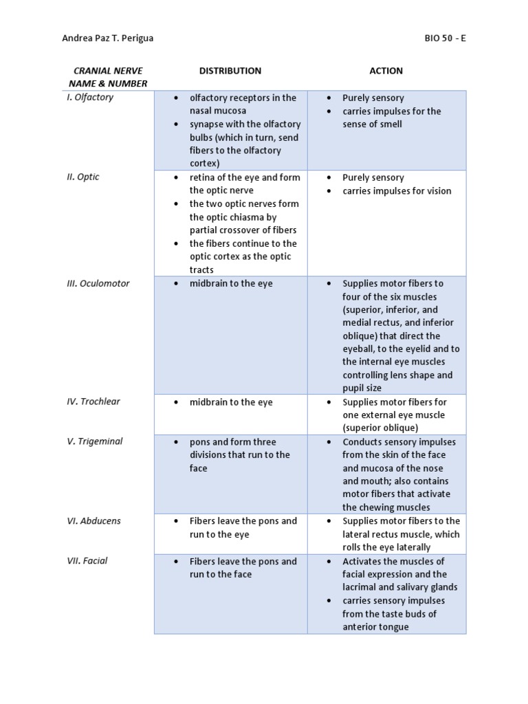 I. Olfactory: Cranial Nerve Name & Number | PDF | Olfaction | Anatomy