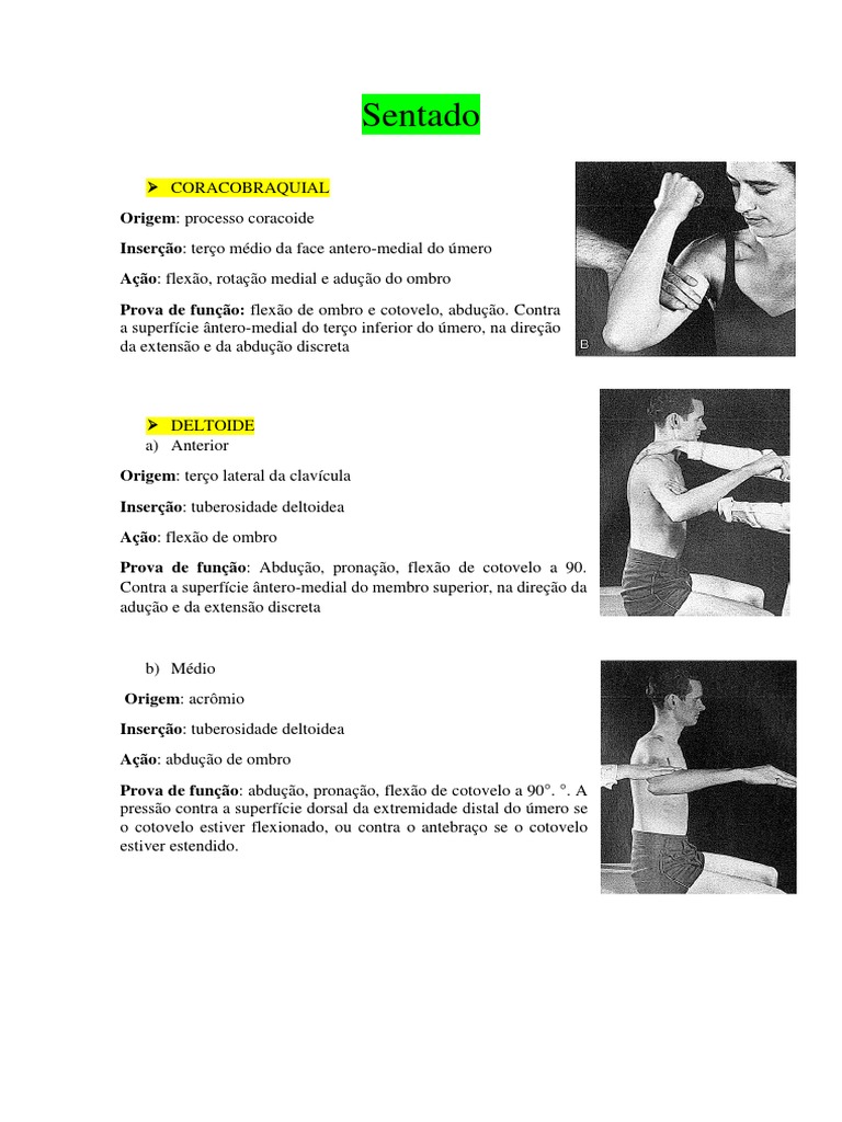 Aula Pratica Semio 2 | PDF | Cotovelo | Ombro