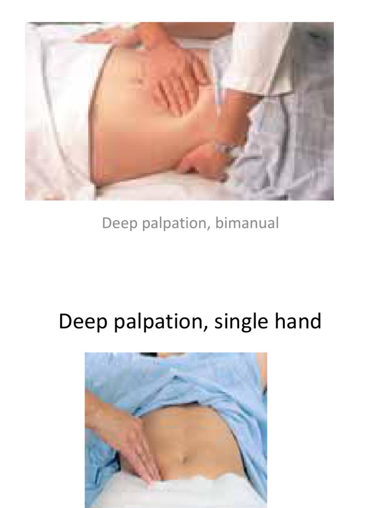 Bimanual Palpation Techniques Overview | PDF | Wellness