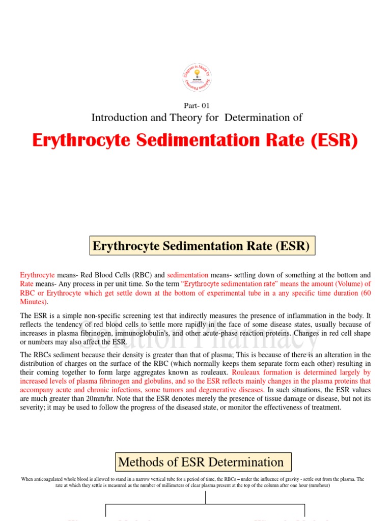 ESR Determination | PDF | Red Blood Cell | Immunology