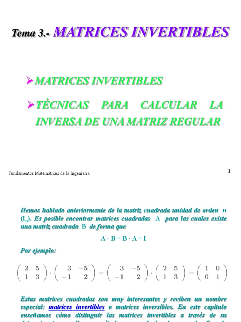 Matrices Invertibles | PDF | Matriz (Matemáticas) | Funciones y mapeos