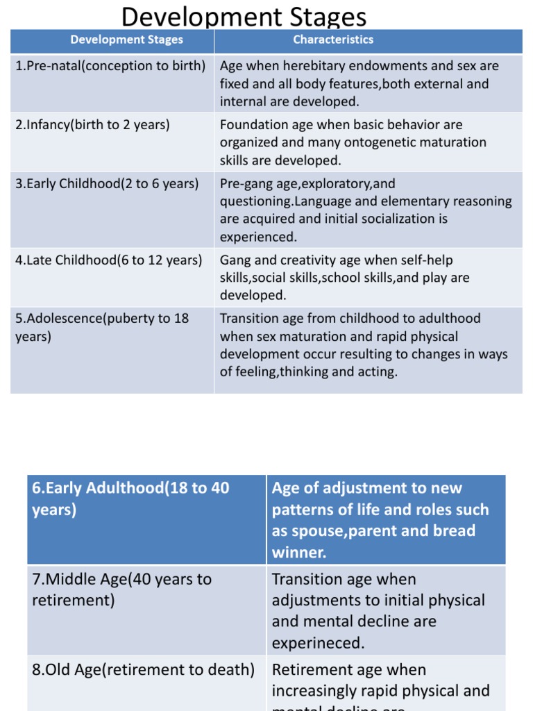 Development Stages | PDF