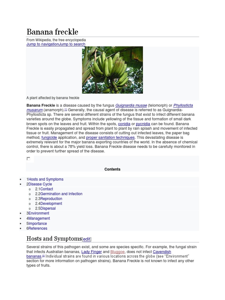 Banana Freckle: Hosts and Symptoms | PDF | Mycology | Fungus