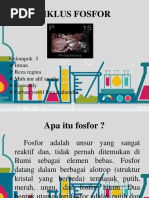 Proses Daur Fosfor di Alam | PDF