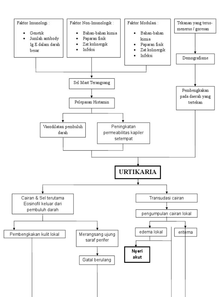 Pathway Urtikaria | PDF