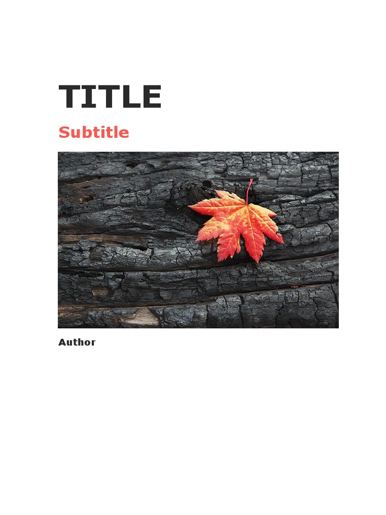 Title: Subtitle | PDF | Computer Architecture | Application Software
