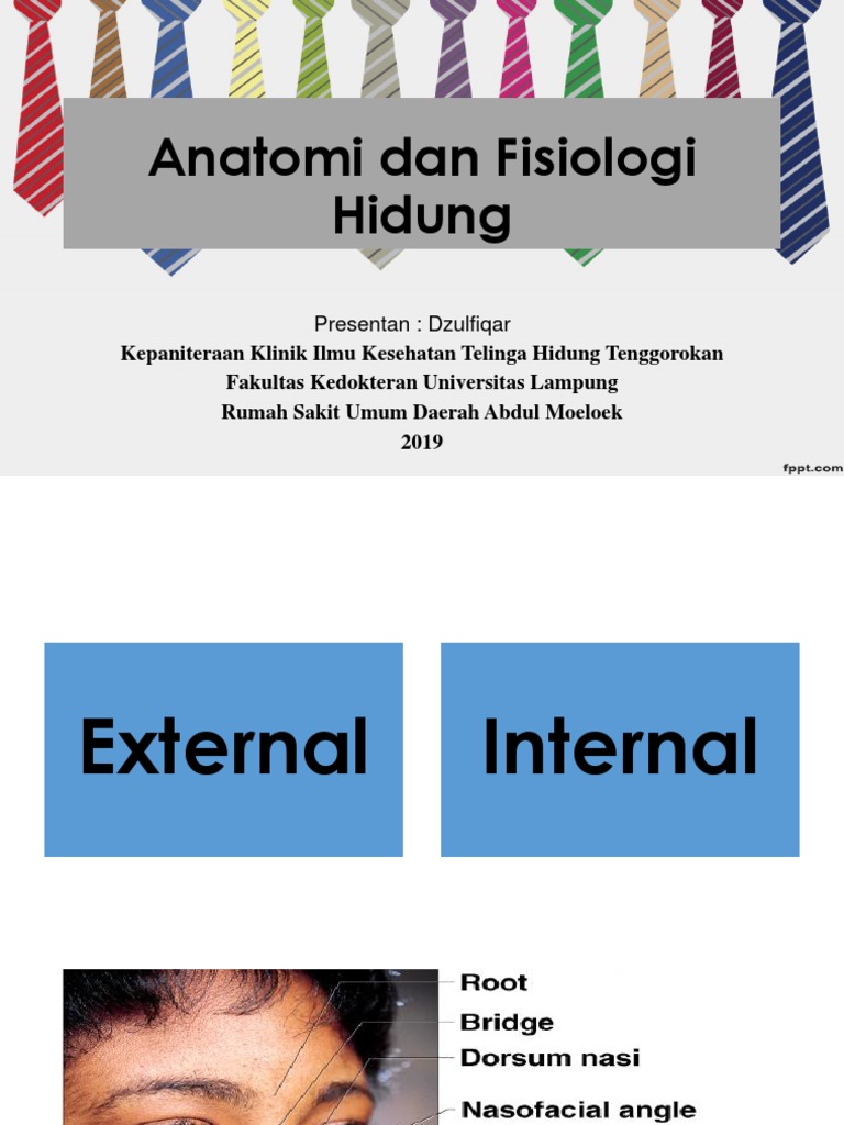 Anatomi Fisiologi Hidung Baru BGT | PDF | Human Nose | Face