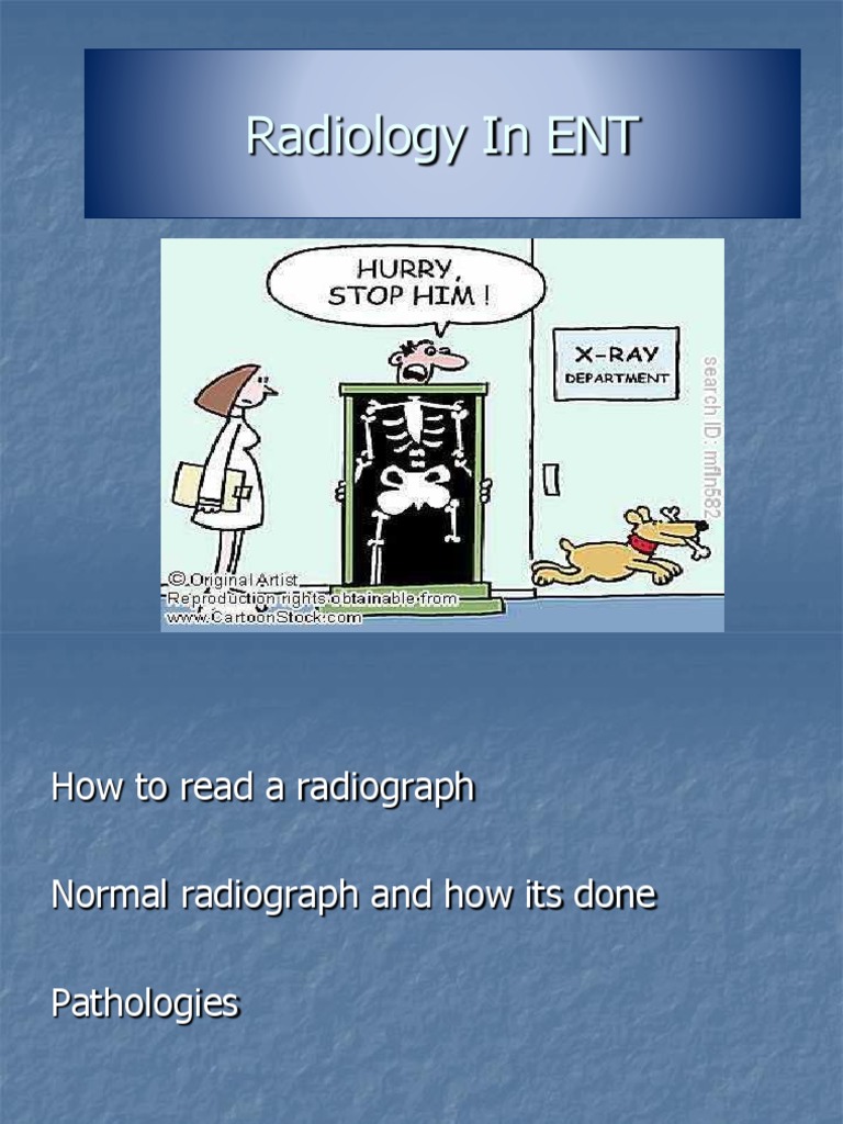 Radiology in ENT | PDF | Skeletal System | Human Head And Neck