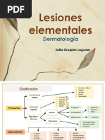 Lesiones Primarias de la Piel | PDF | Piel | Dermatología