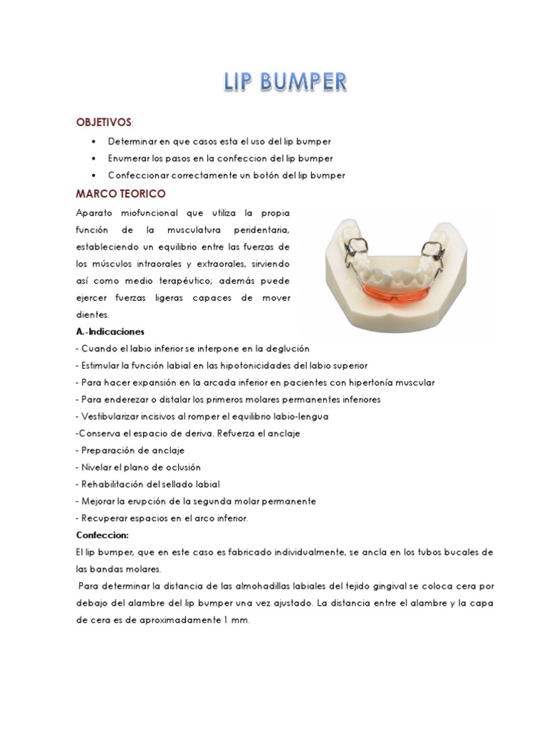 Lip Bumper | PDF | Boca | Naturaleza