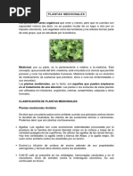 Beneficios y usos de la curarina | PDF | Diálisis | Riñón