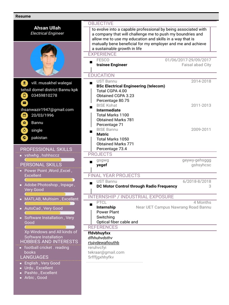 Electrical Engineer Resume Summary | PDF | Electrical Engineering | Software