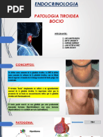 Clasificación del Bocio según OMS | PDF