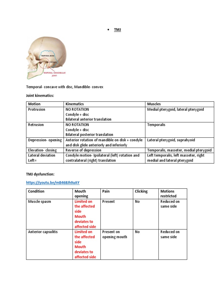 MSK Notes | PDF | Musculoskeletal System | Limbs (Anatomy)