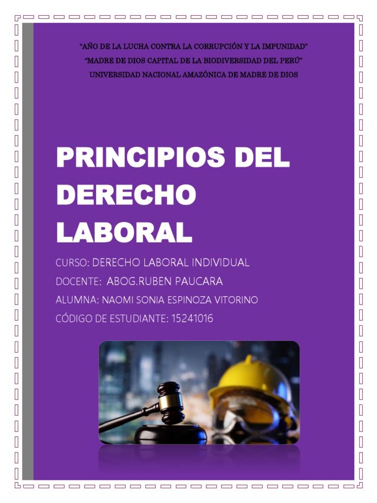 Principios Del Derecho Laboral Pdf Derecho Laboral Constitución