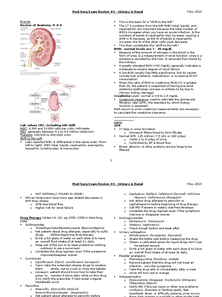 Exam #4 - Urinary and Renal-1 | Renal Function | Urinary Incontinence