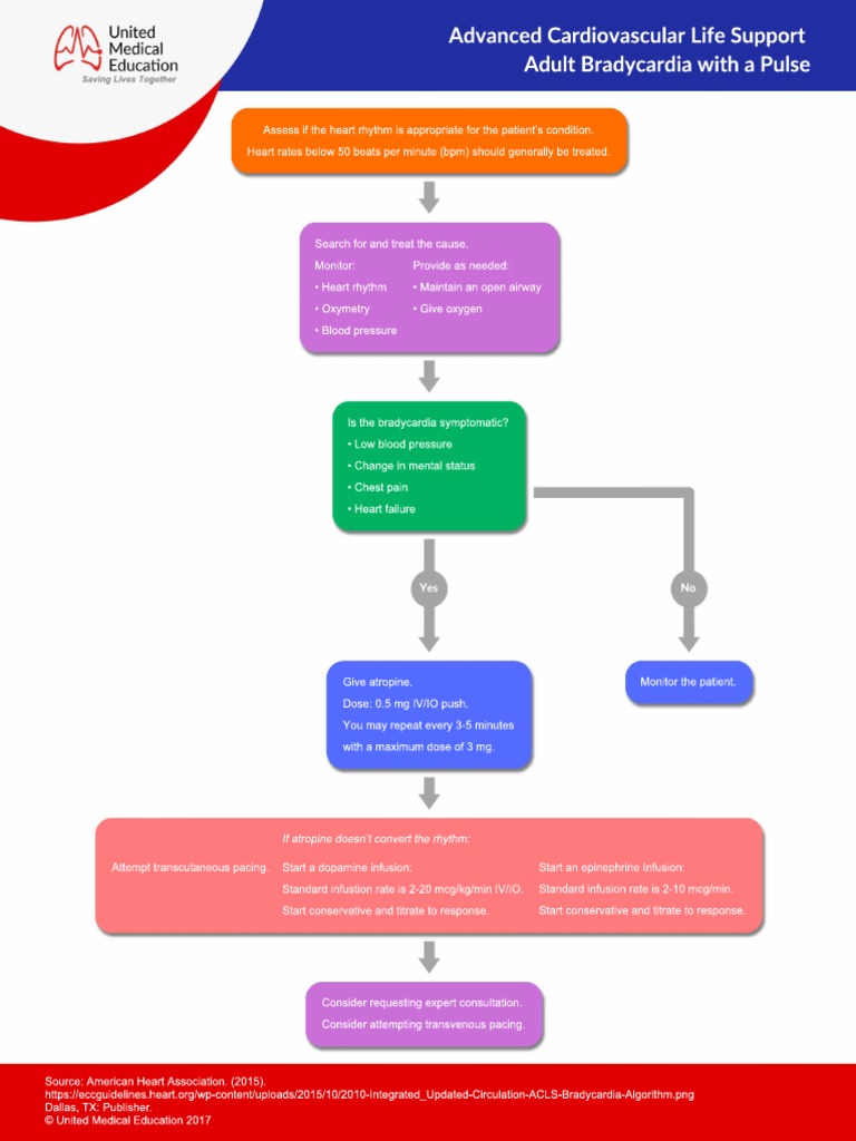 Acls Bradycardia With A Pulse Algorithm | PDF