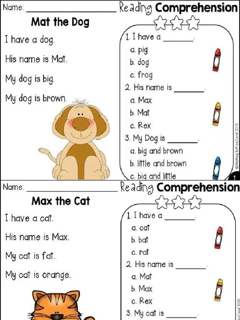 reading comprhension.pptx