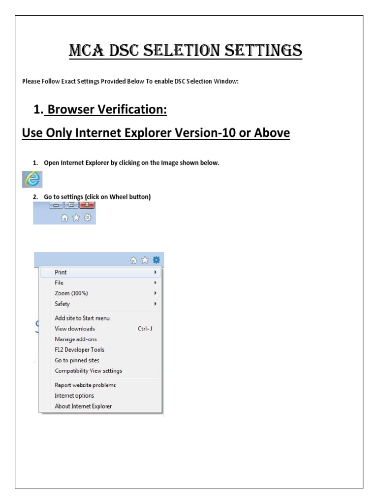 MCA DSC Selection Setup Guide | PDF
