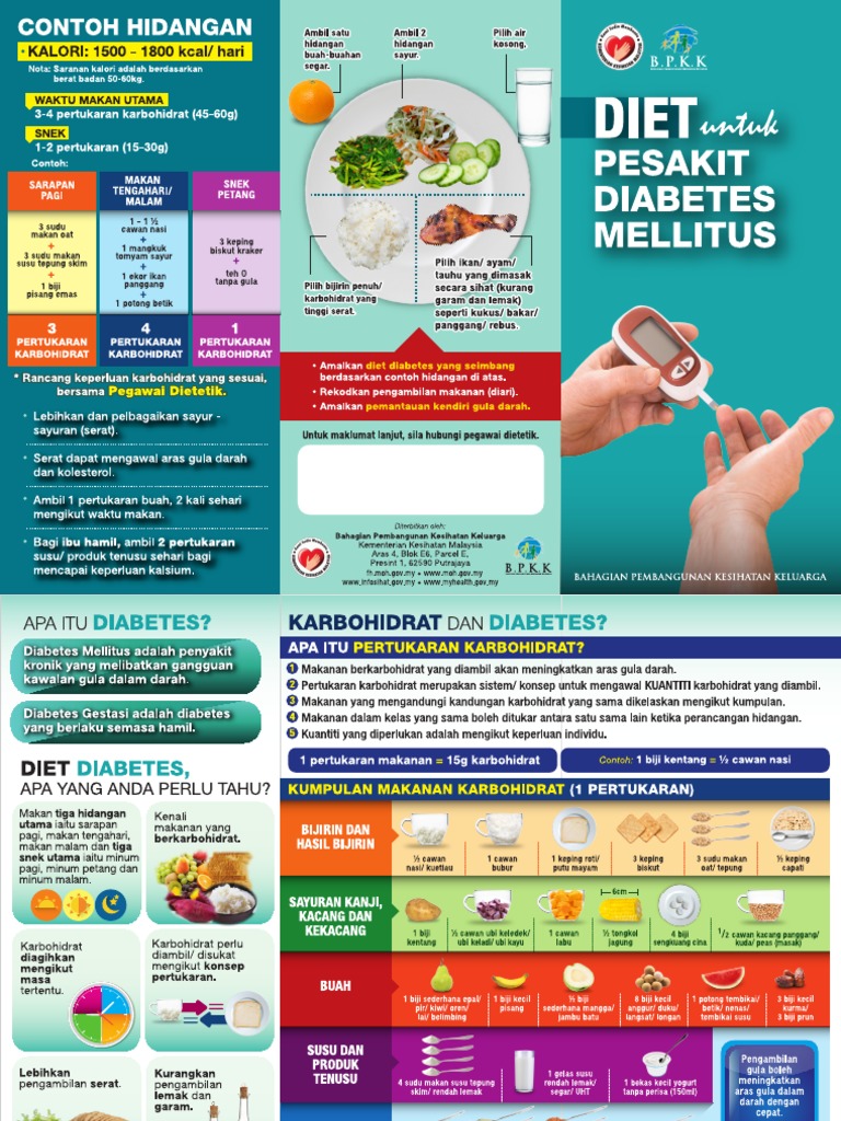 Brochure 5 - Diet Untuk Pesakit Diabetes Mellitus | PDF