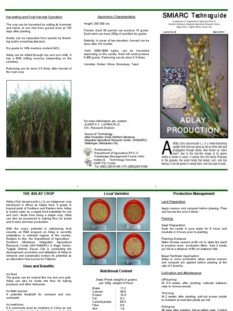 2014 Adlay | PDF | Wheat | Rice