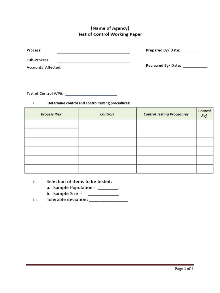 08 Test of Control Working Paper | PDF