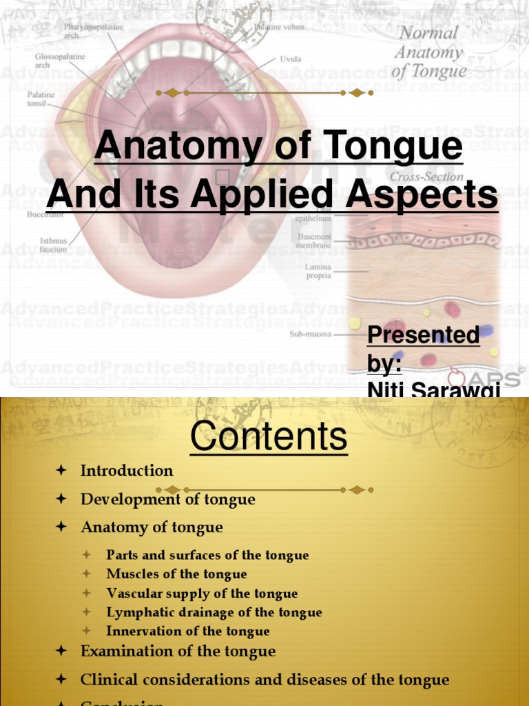 Anatomy of Tongue and Its Applied Aspects: Presented By: Niti Sarawgi ...