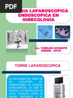 Colpoperineoplastia: Técnica y Procedimiento | PDF