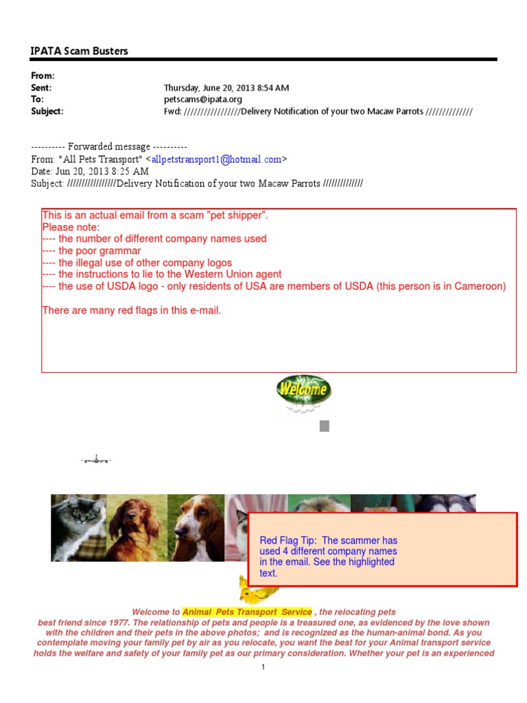 Sample Scammer | Download Free PDF | Western Union | Pet