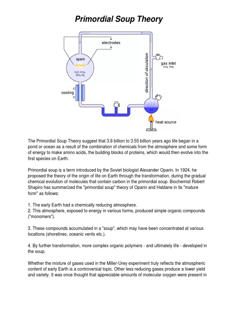 Primordial Soup Theory | PDF | Abiogenesis | Biology