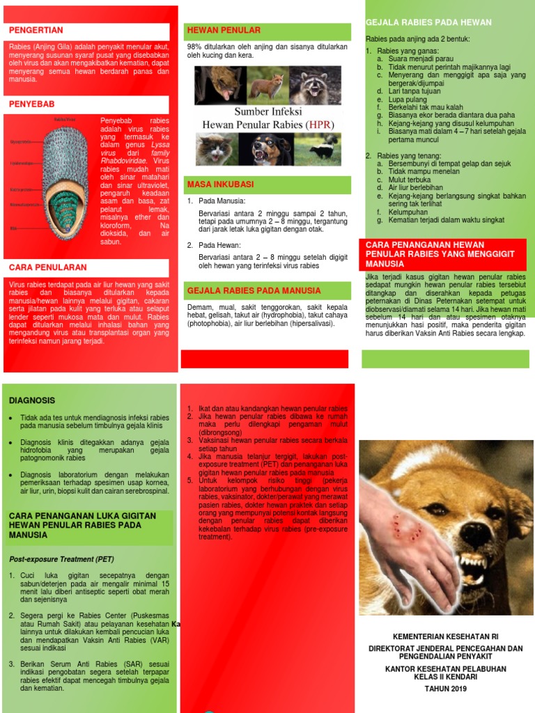 Leaflet Rabies KKP A4 | PDF