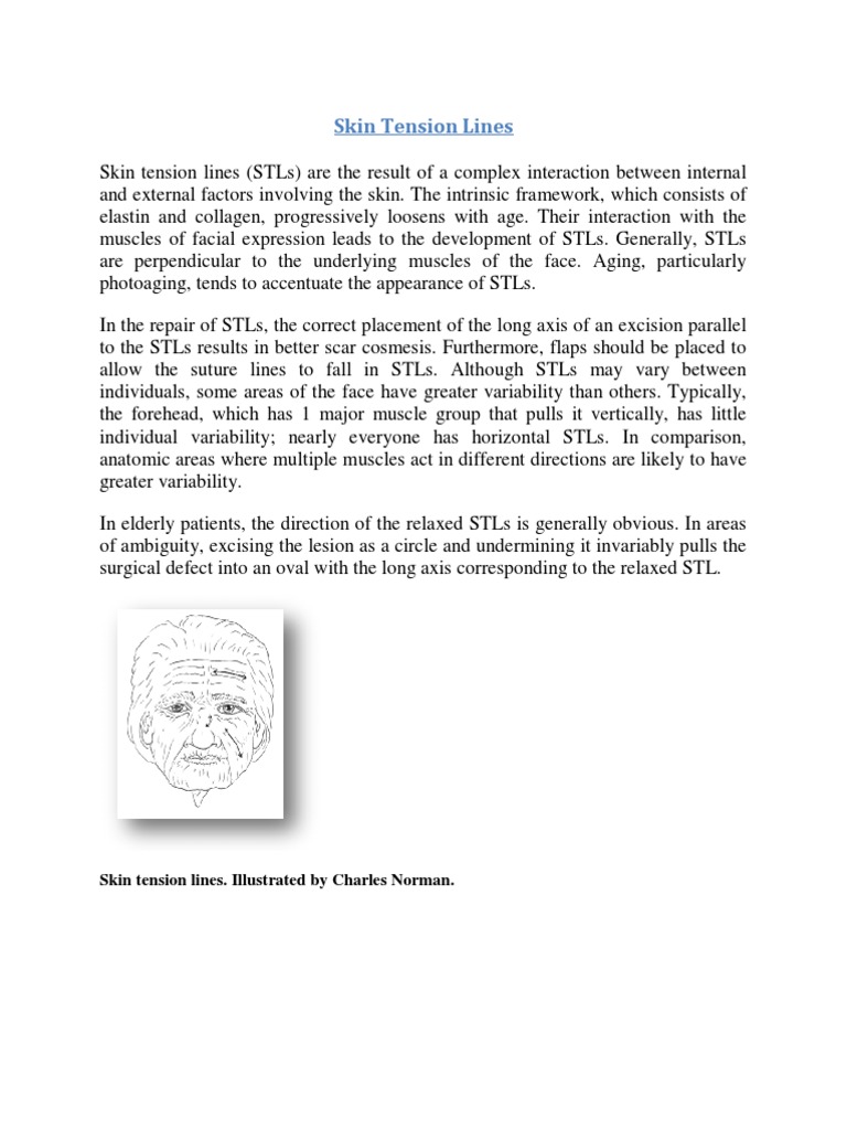 Skin Tension Lines | PDF | Neck | Common Carotid Artery