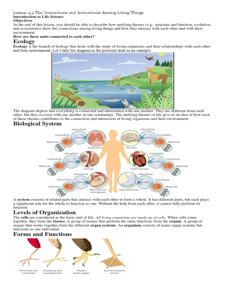 Ecology: Lesson 4.3 The Connections and Interactions Among Living ...