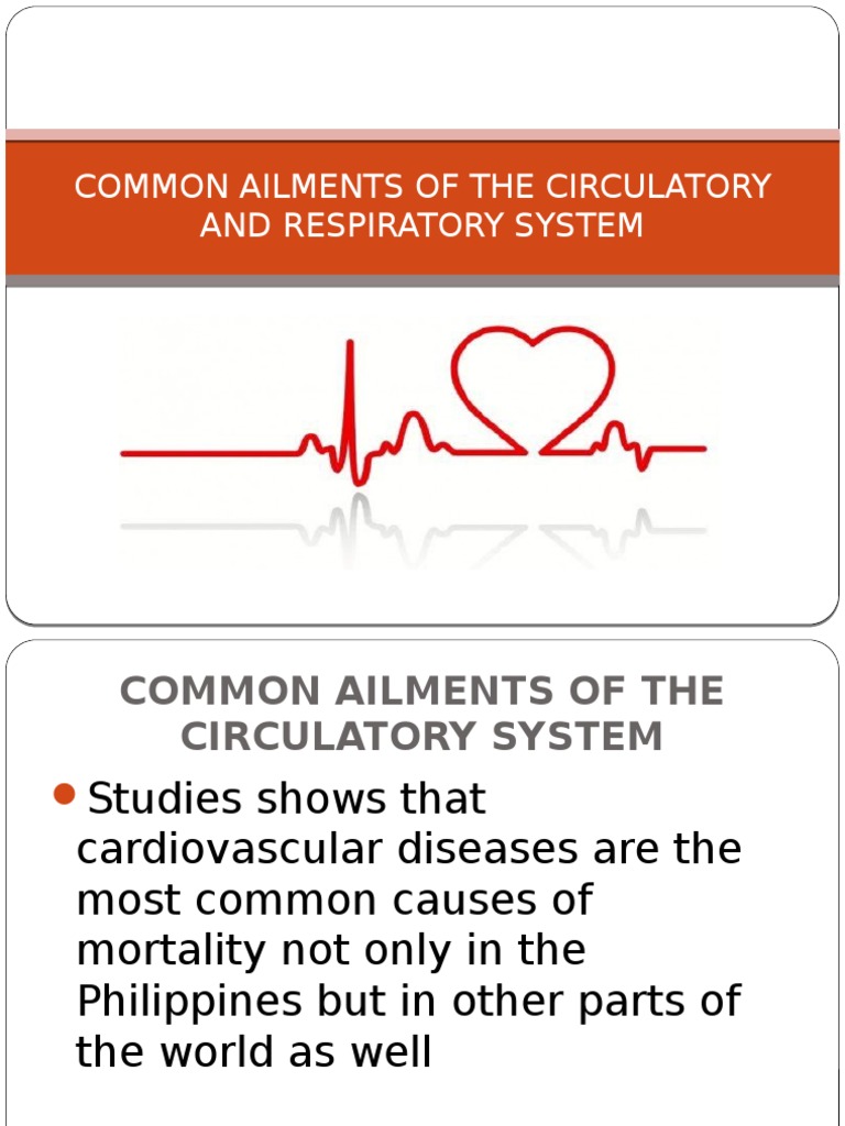 Common Ailments of The Circulatory and Respiratory System | PDF | Heart ...