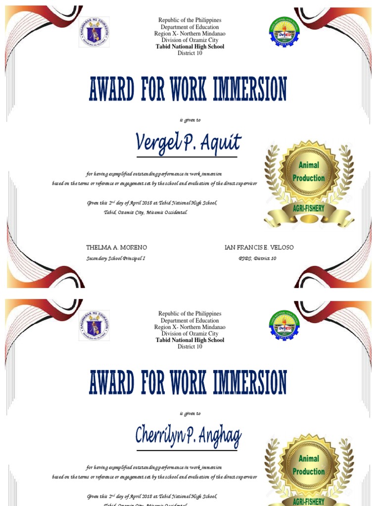 Award For Work Immersion | PDF | Domestic Policy | Education Policy