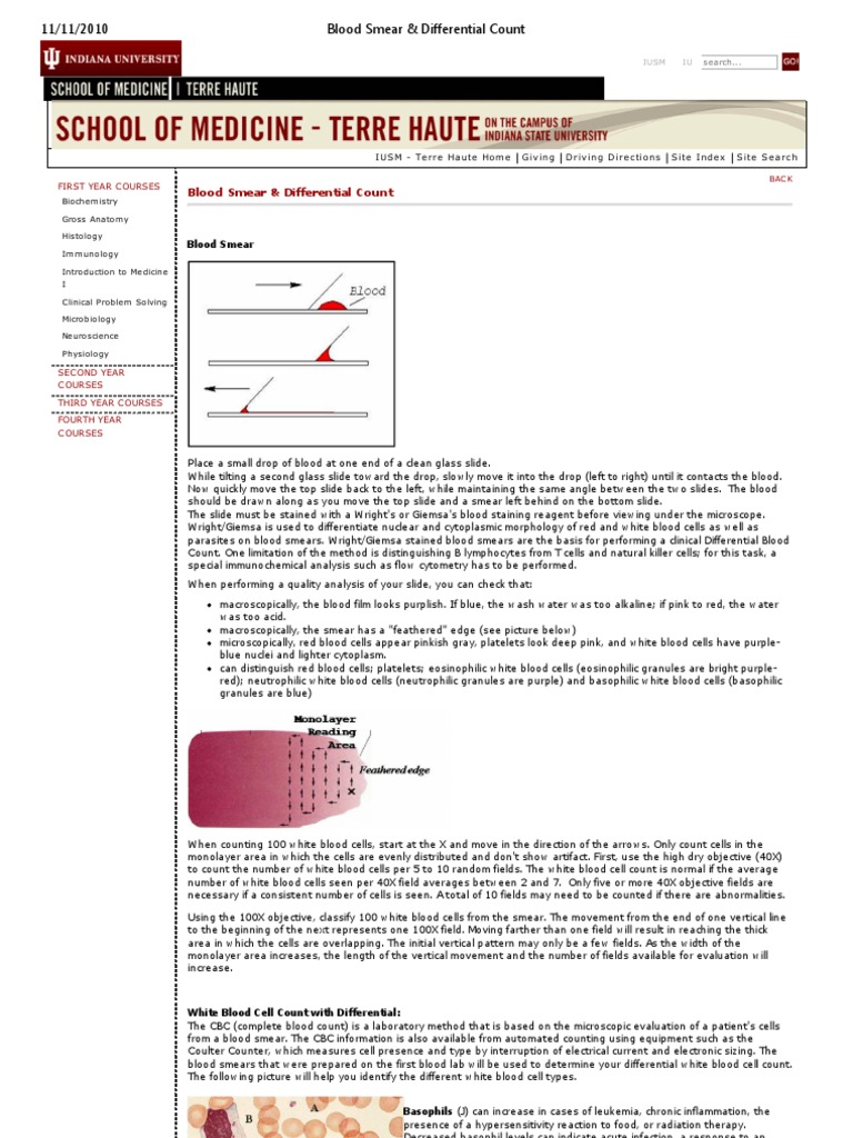 Blood Smear | PDF | Blood Cell | Inflammation