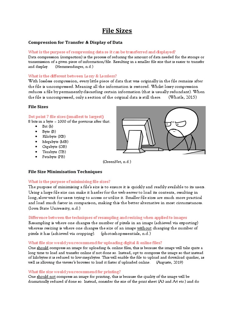 Worksheet 1 File Sizes | PDF | Data Compression | Computer File
