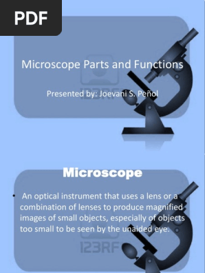 Microscope Parts And Functions Ppt