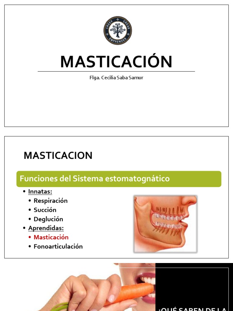 MASTICACION | PDF | Diente | Músculo
