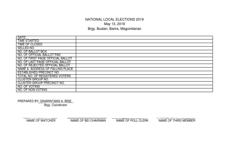 2019 National Local Elections Report | PDF