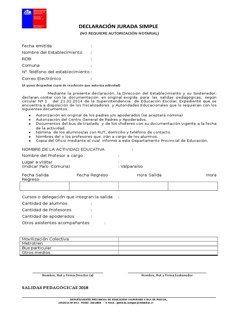 Plantilla Declaración | PDF