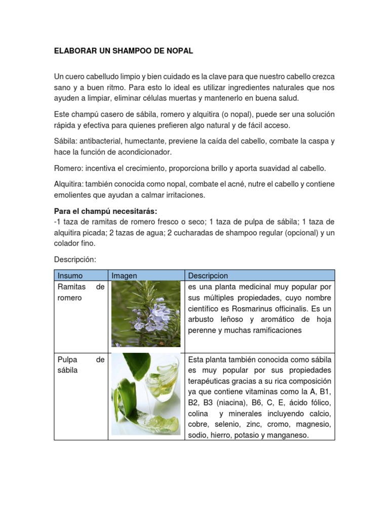 Elaborar Un Shampoo de Nopal | PDF | Champú | Romero