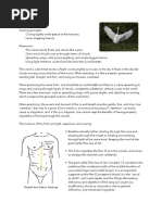Shibashi Set 2 Handout | PDF | Foot | Qigong