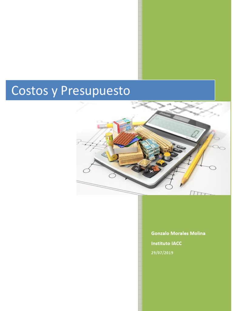 Proyecto Final - Costos y Presupuestos | PDF | Presupuesto | Microeconomía