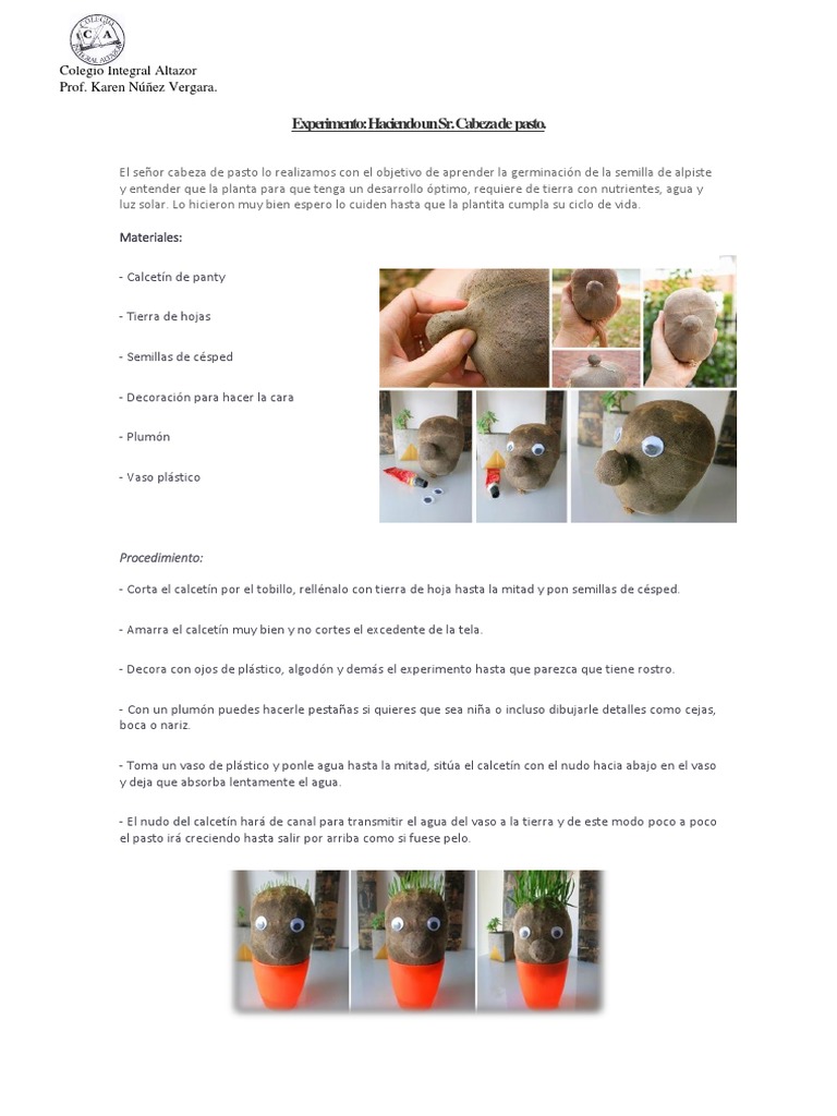 Cómo hacer un Señor Cabeza de Pasto: una guía paso a paso para el ...