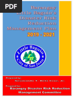 BDRRM Plan Template - Filipino Edited | PDF