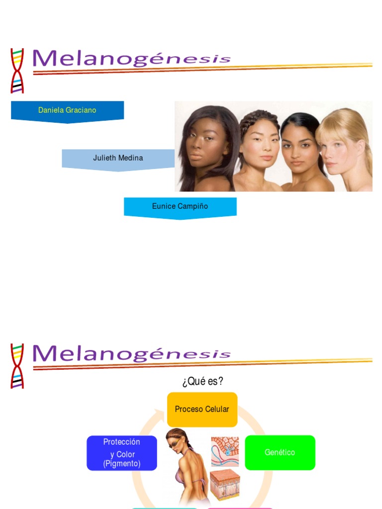 Melanogénesis | PDF | Sistema tegumentario | Piel