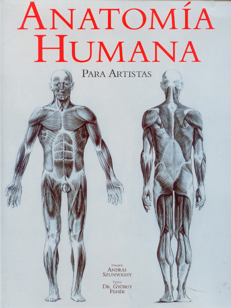 Andras Szunyoghy - Anatomia Humana para Artistas | PDF