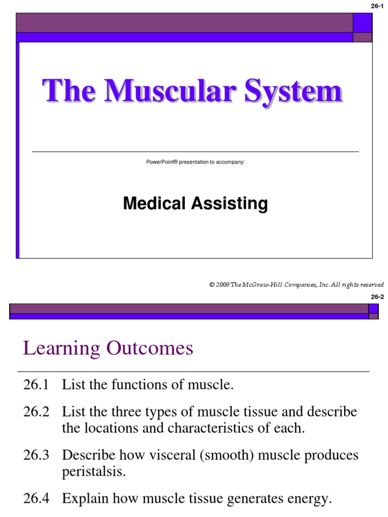 The Muscular System 1 | PDF | Human Leg | Anatomical Terms Of Motion