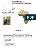 Primate Skull Comparison Data | PDF | Homo | Paleoanthropology